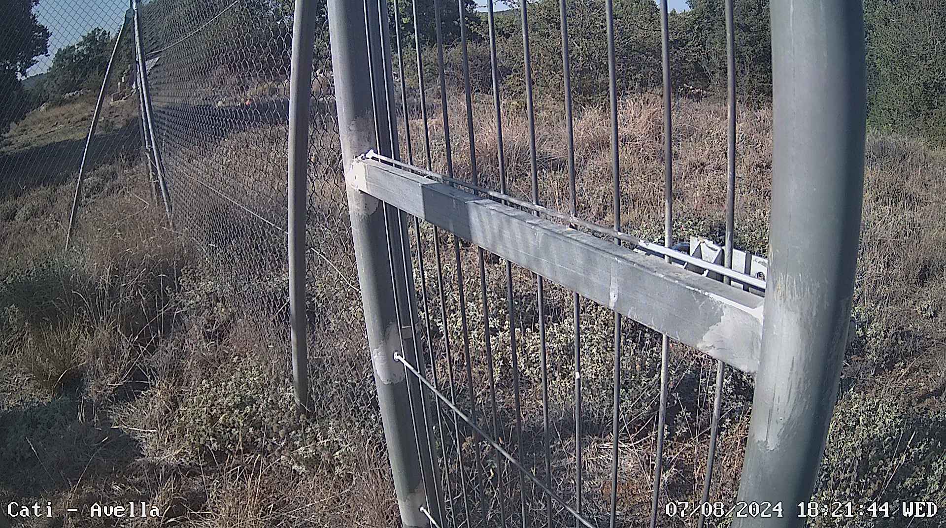 AVAMET MXO Webcams a temps real